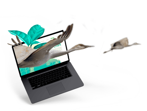 Woocommerce Developer Uk Woocommerce Web Developer